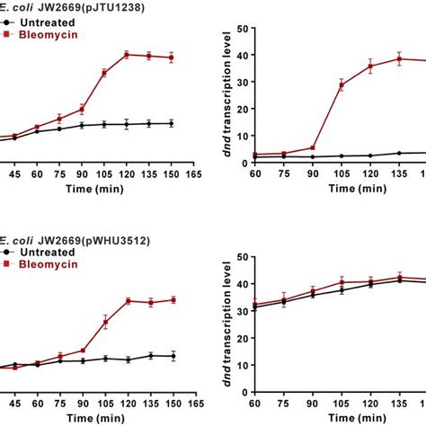 Pdf Tight Control Of Genomic Phosphorothioate Modification By The Atp