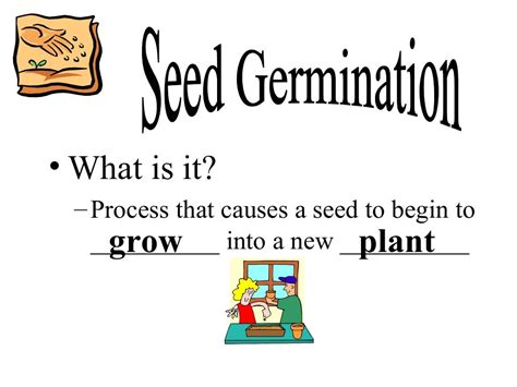 Seed Germination Notes