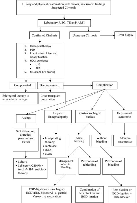 Algorithm For Diagnosis And Treatment Of Cirrhosis Based On Clinical Download Scientific
