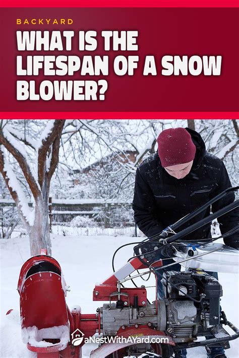 How long do snow blowers last answering in 2024 – Artofit