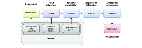 The Whole Procedure Of Bioinformatic Analysis Of Transcriptomics