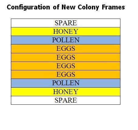 How to split a Beehive Doing Bee Hive Splits Cães