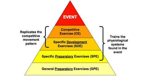 What Exercise Classification Can And Can T Do For Your Training Hmmr