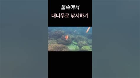 물속에서낚시하기제주바다스노우쿨링낚시 Youtube