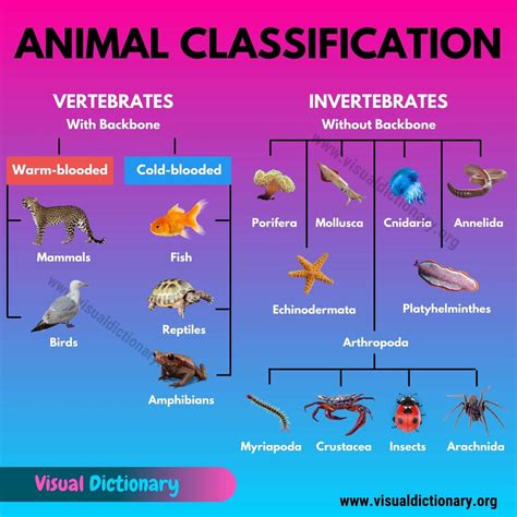 What Are The Two Basic Classifications Of Listed Species Design Talk