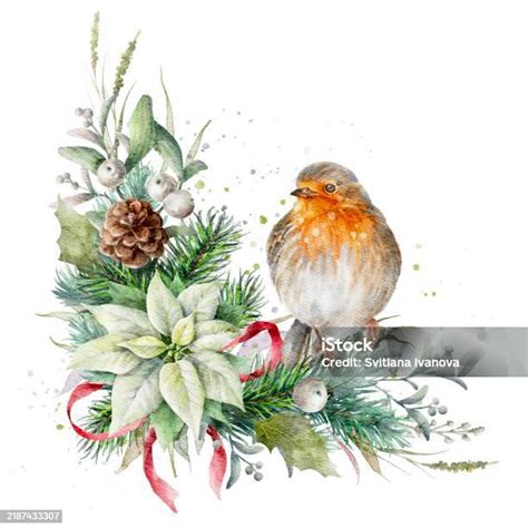 로빈 새 흰색 포인세티아 꽃 전나무 원뿔 녹색 잎 및 허브와 함께 수채화 코너 화환 빨간 열매 크리스마스 장식 12월에 대한 스톡 벡터 아트 및 기타 이미지 Istock