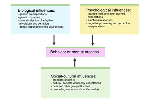 Models Of Addiction List Of Addiction Models Ping