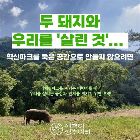 새벽이생추어리 새벽과 잔디는 매일 두 끼를 먹습니다 계절에 따라 해가 뜨고 지는 시간에 따라 조금씩 차이는 있지만 대개