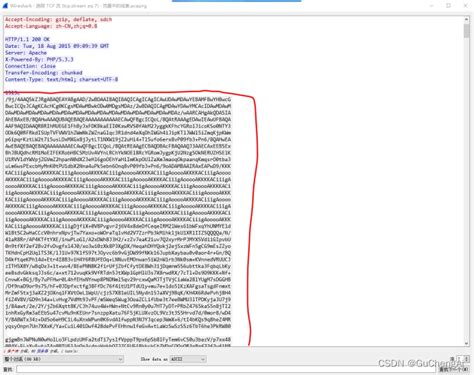 信息安全实训day4 ctf 被嗅探的流量 csdn博客