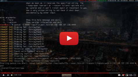 openserver python announcing apache openserverless preview by