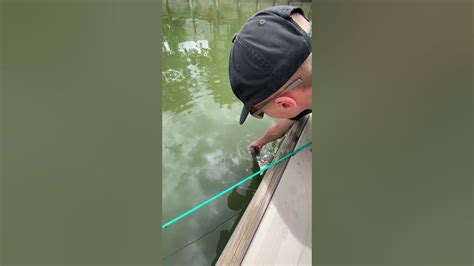 On The Choppy Glide Youtube