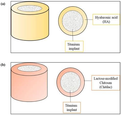Polysaccharides An Open Access Journal From MDPI