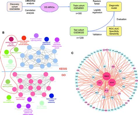 Construction And Verification Of Diagnostic Prediction Model A Flow Download Scientific