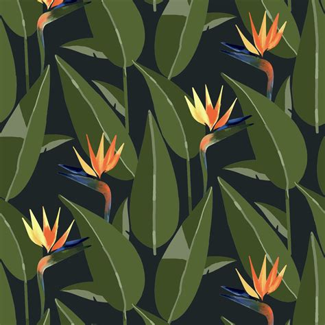 Birds Of Paradise Flower Iphone Wallpaper Custom Mural Tropical Plants