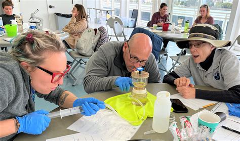 Monitoring Microplastics In Surface Water—a Pacing Guide For Grades 5 12 Nsta