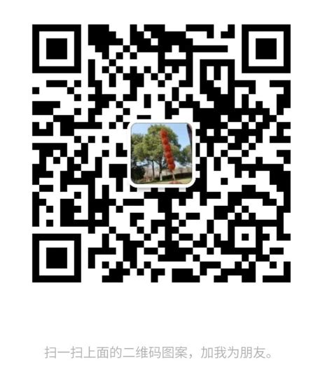 达内、慕课和找前辈网三种学编程模式有什么不同？ 问宝少儿编程