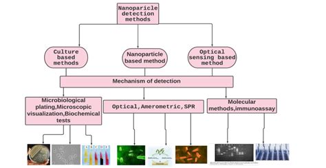 Host Pathogen Interaction And Pathogen Detection Methods