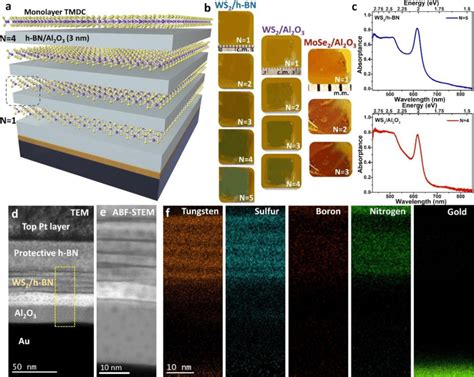 Structure And Composition Of Multilayer Excitonic Quantum Well Download Scientific Diagram