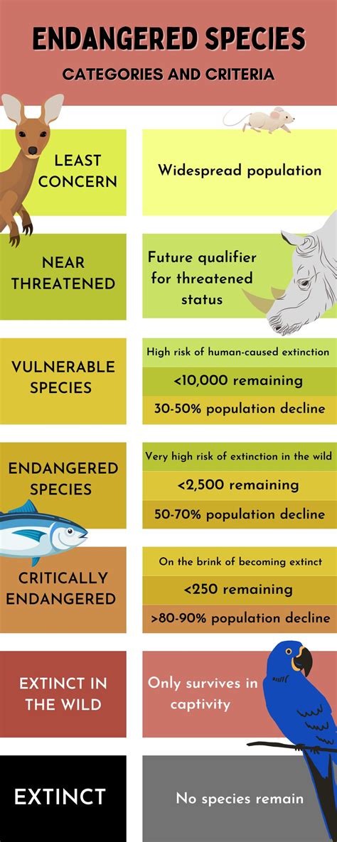 The Iucn Red List A Guide To Species Survival Status Animalpages