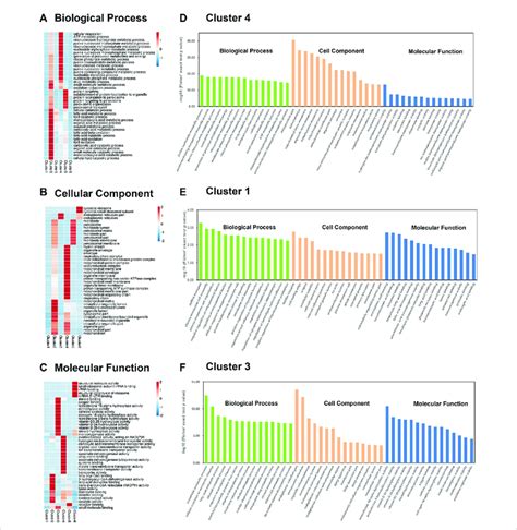 Enrichment Based On Mfuzz Clustering By Three Go Annotations A C Download Scientific Diagram