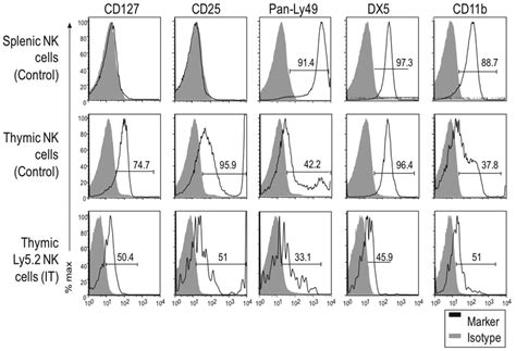 Dn1 Cd122 Nk11 Thymocytes Differentiate Into Nk11 Cells With A Unique