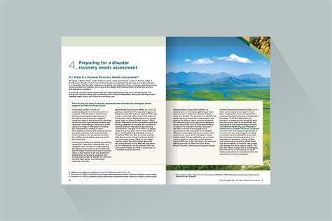 National Disaster Recovery Needs Assessment Guidelines Bite Visual Communications Group