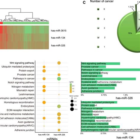 Details Of The Midrw‐based Mirna‐mediated Subpathway Activity Inference