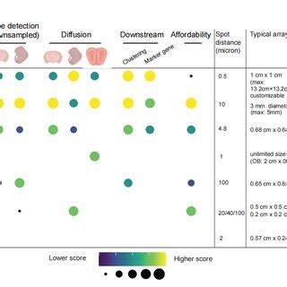 Summary Of Results And Characteristics Of SST Methods The SST Methods Download Scientific