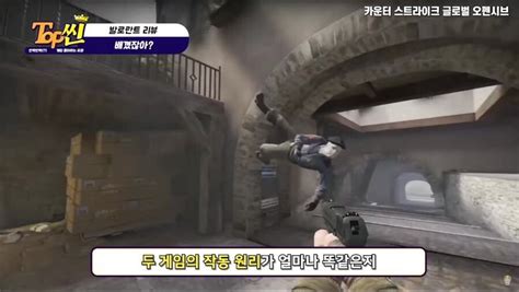 발로란트 완벽 요약짤 유머움짤이슈 에펨코리아