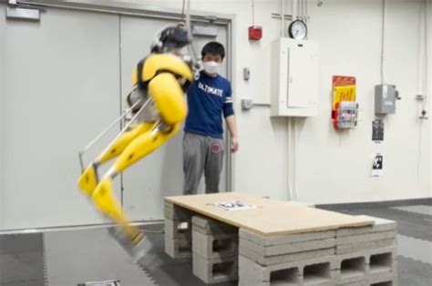 Bipedal Robot Dynamic Jumps With Multi Task Reinforcement Learning Robotic Gizmos