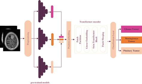 Enhancing Brain Tumor Mri Classification With An Ensemble Of Deep Learning Models And