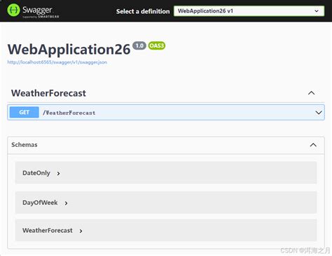 用net Core框架创建一个web Api接口服务器。netcore接口生成网页 Csdn博客