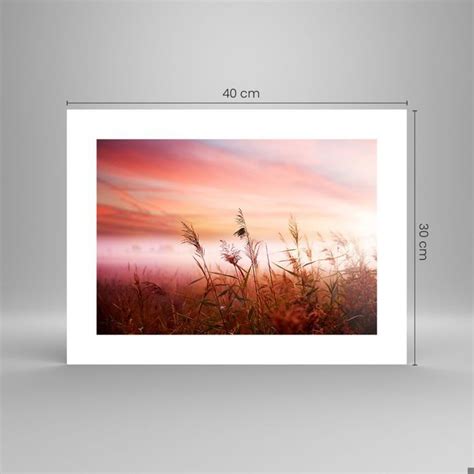 Arttor Affiche 40x30 Cm Pré Grain Nature Moderne Poster Sans Cadre Tableau Decoration Murale