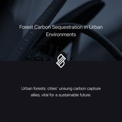 Forest Carbon Sequestration In Urban Environments → Scenario