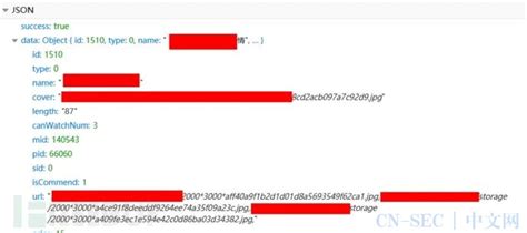拿下了一个美女图片网站 CN SEC 中文网
