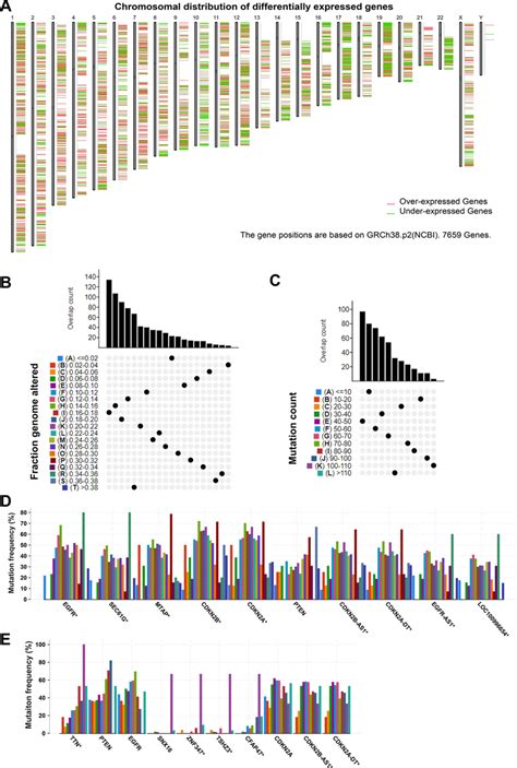 Identification Of Potential Tumor Antigens In Gbm A The Chromosomal