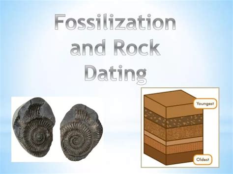 Ppt Fossilization And Rock Dating Powerpoint Presentation Free