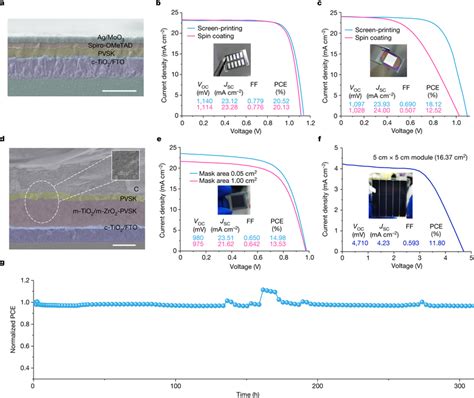 performance of pscs based on screen printed thin films a download