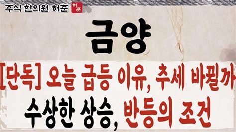 금양 수상한 상승 진짜 반등의 조건은 3가지 입니다 금양 Youtube