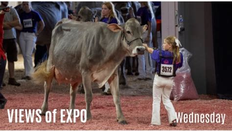 Searchhoards Dairyman Search Wednesday Addams Virtual Sexhoards