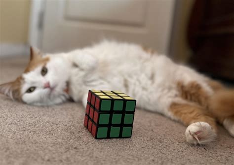 Rubiks Cube Solver 9 Steps With Pictures Instructables