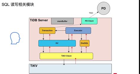 Tidb数据库架构——tidb Servertidb Server 实现的功能有 Csdn博客 Tidb数据库架构——tidb Servertidb Server 实现的功能有 Csdn博客