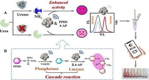 Self Assembled Integrated Nanozyme Cascade Biosensor With Dual Catalytic Activity For Portable