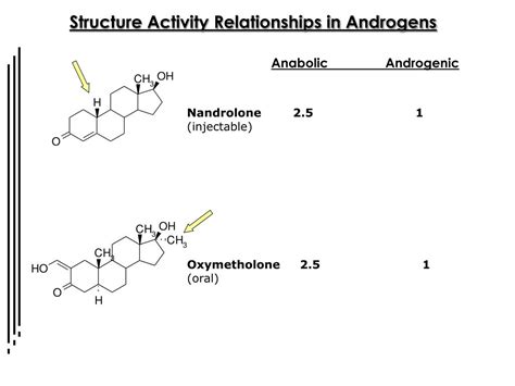 Ppt Androgenic Steroids Powerpoint Presentation Free Download Id