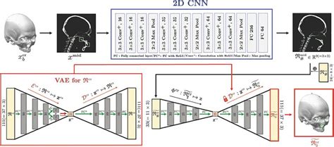 3d Cranial Landmark Detection Using Vae Based Low Dimensional Download Scientific Diagram