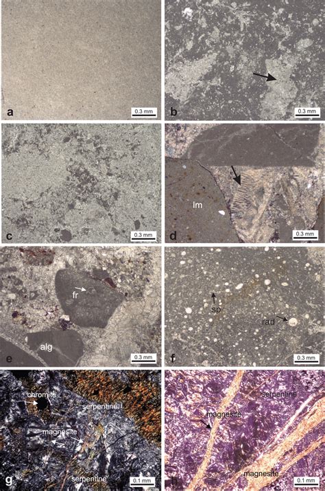 Magnesite In Thins Section