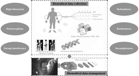 Biomedical Data Managed By Bd And Dl Download Scientific Diagram