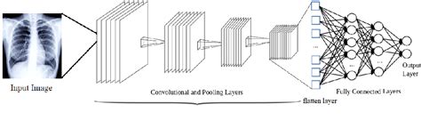 Figure 1 From Explainable Ai In Automated Medical Report Generation Using Chest X Ray Images