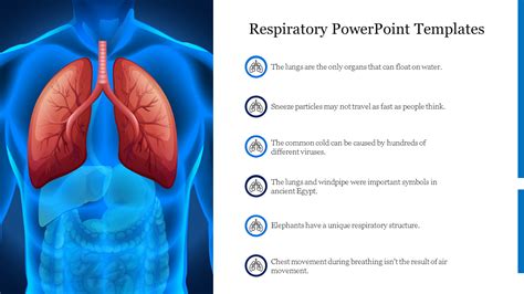 Free Respiratory PowerPoint Templates And Google Slides