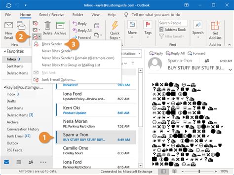 Deal With Junk Email CustomGuide